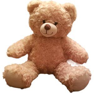Build-A-Bear | Toys | Build A Bear Light Brown Stuffed Teddy Bear ...